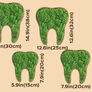 Moss Wall Art With LED, Reindeer Moss Tooth, Dentist Gift, Desk Moss ...