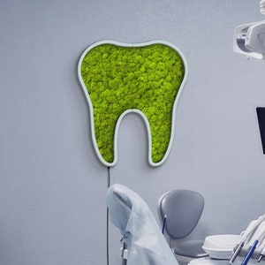 Moss Wall Art With LED, Reindeer Moss Tooth, Dentist Gift, Desk Moss ...