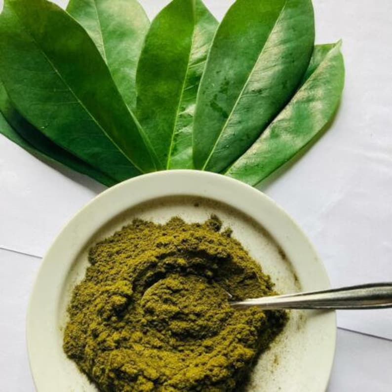 Soursop Leaves Powder, Guanabana Leaf Powder for Tea, Annona Muricata ...