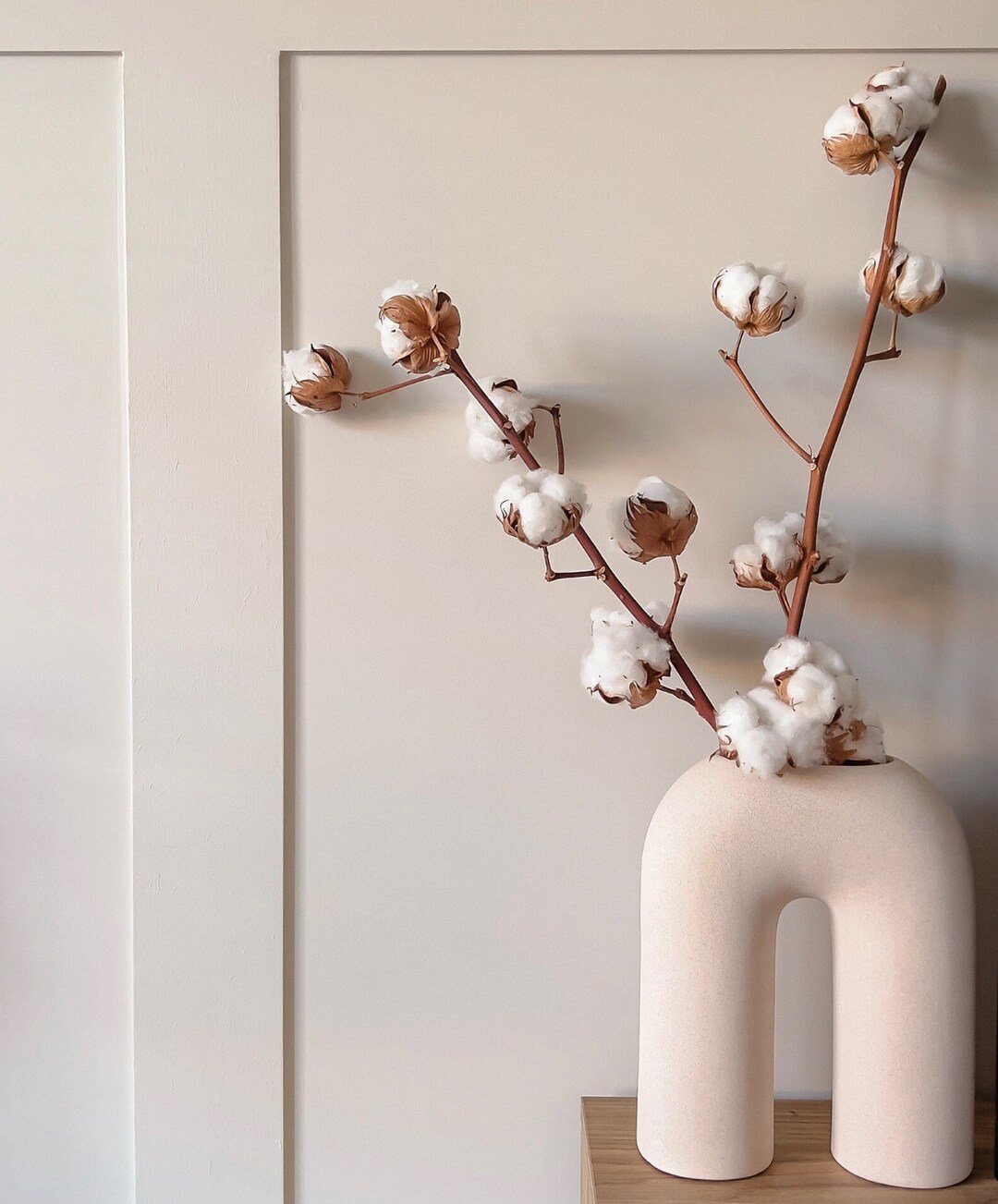 Tall Natural Dried Cotton Stems | Fluffy Cotton Decor - Etsy UK