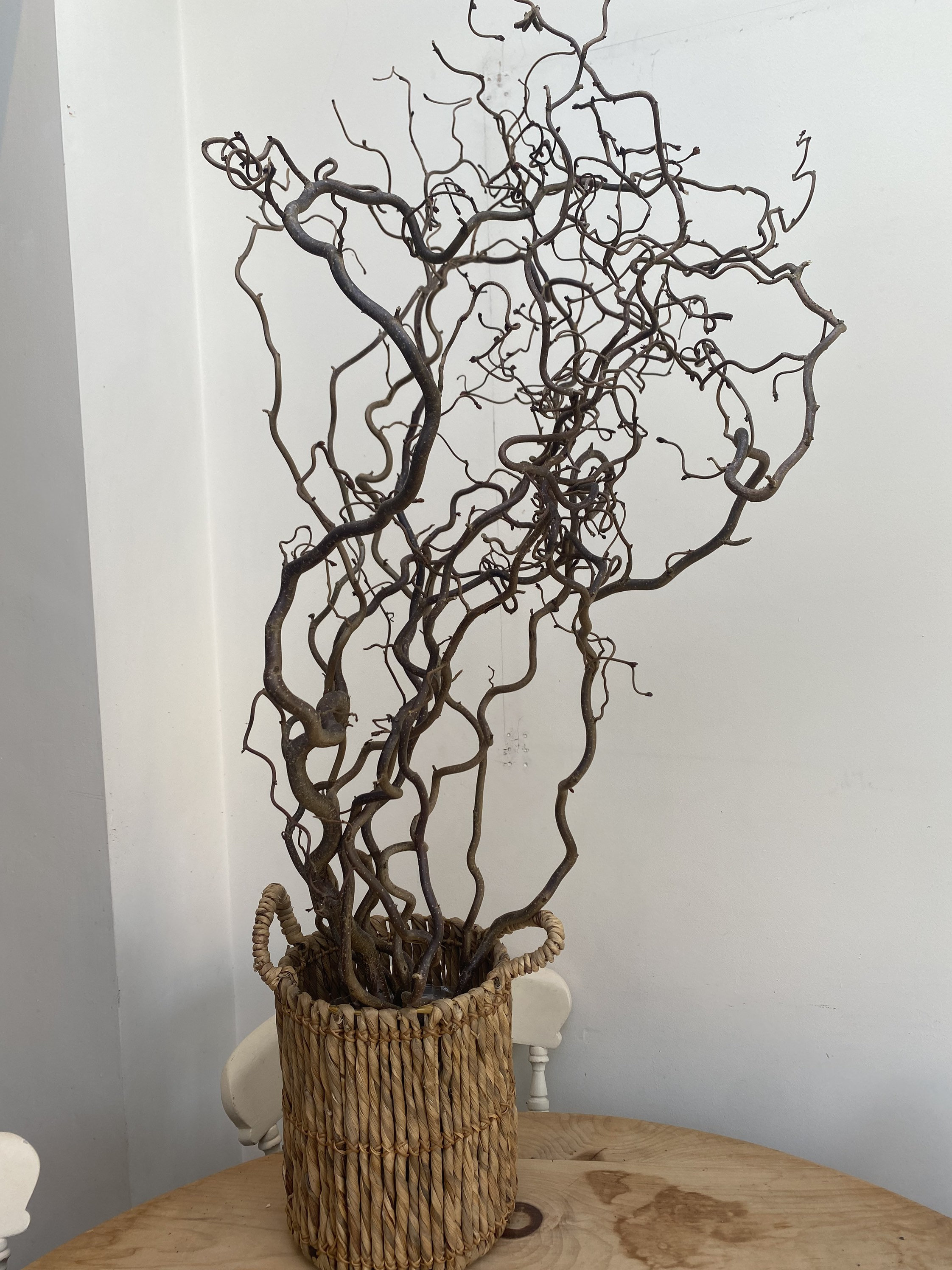 Tall Twisted Willow Stems | Contorted Willow | Natural Willow | 80cm ...