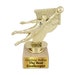 Customized TOP DOG Award / Prestige Dog Trophy, Free Wording ...