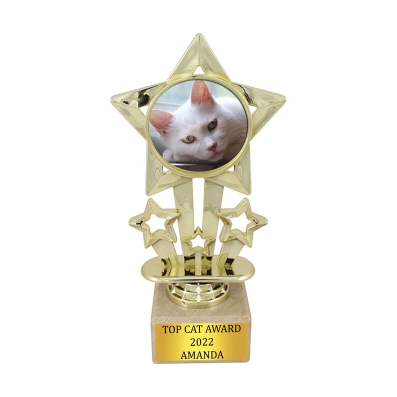Customized TOP CAT Award With Photo and Text Free Wording - Etsy