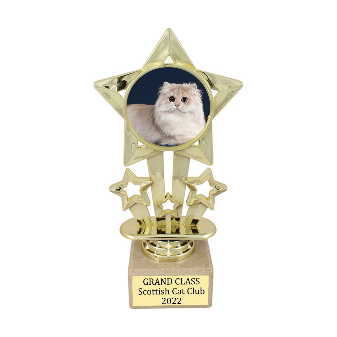 Customized TOP CAT Award With Photo and Text Free Wording - Etsy