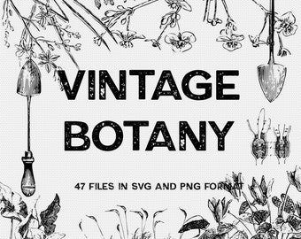 Vintage Botany Svg - Etsy