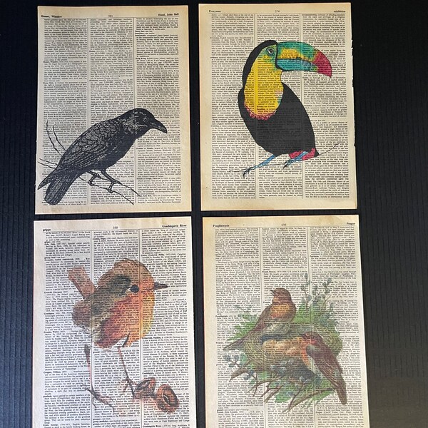Bird Dictionary Art - Etsy