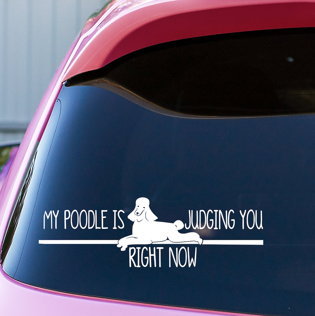 Sarcastic Poodle Car Decal: "judging You" Dog Silhouette Sticker - Etsy