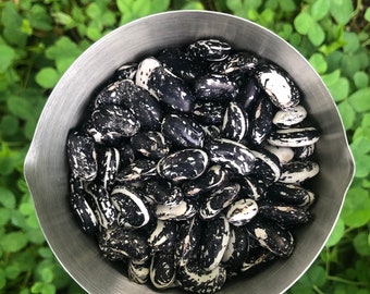 Haudenosaunee Seeds - Etsy