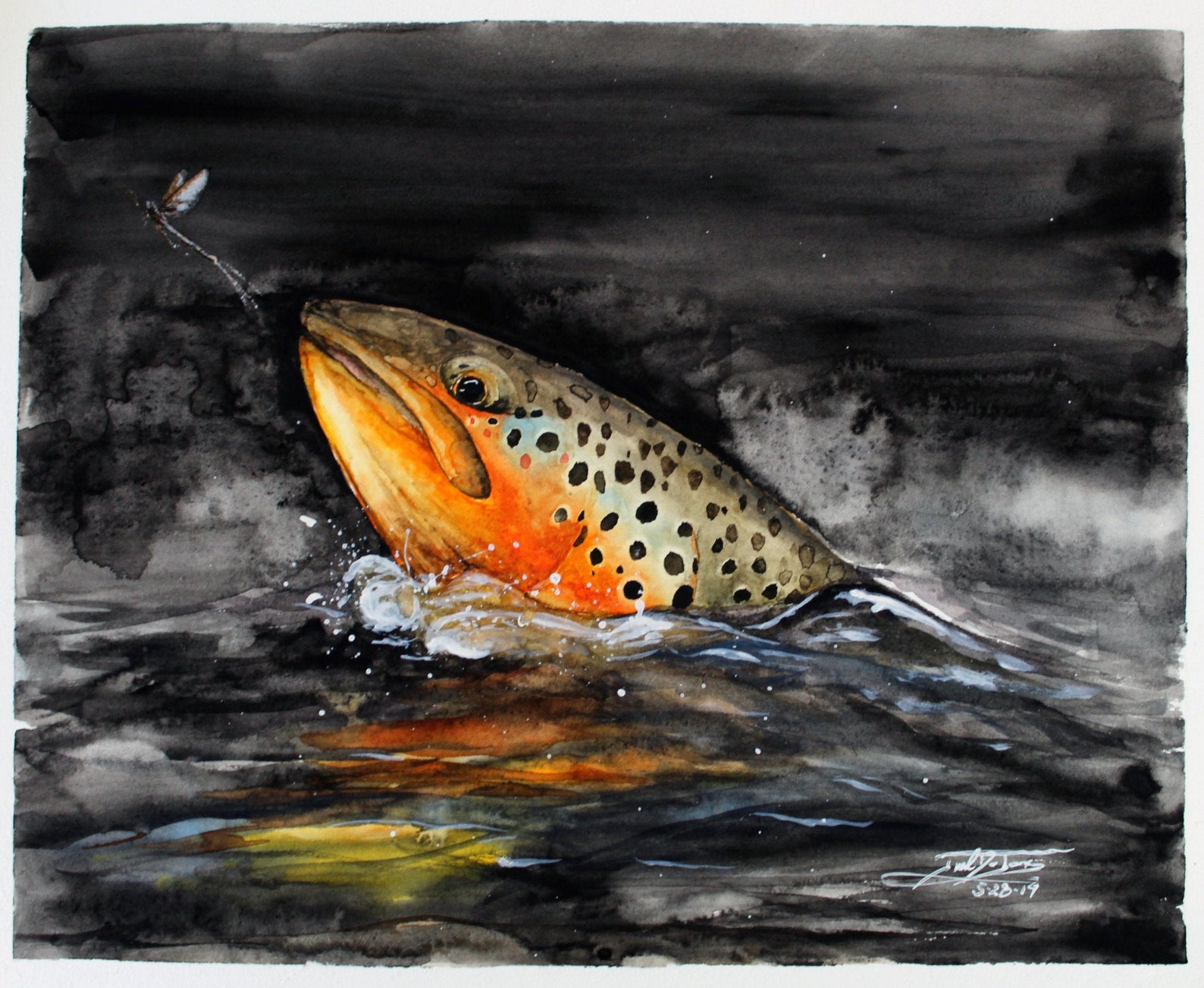 Brown Trout Rising Original Watercolor, Fly Fishing, Fine Art, Trout ...