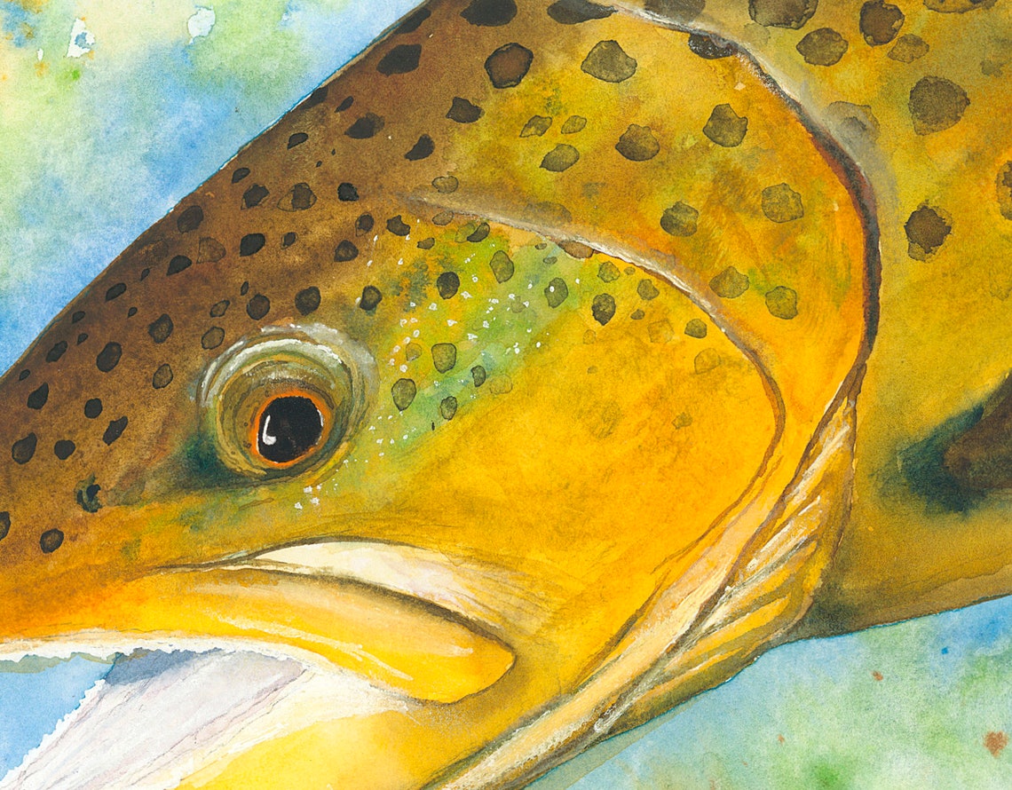 Golden Brown Trout Original Watercolor Artwork, Trout Painting, Art ...