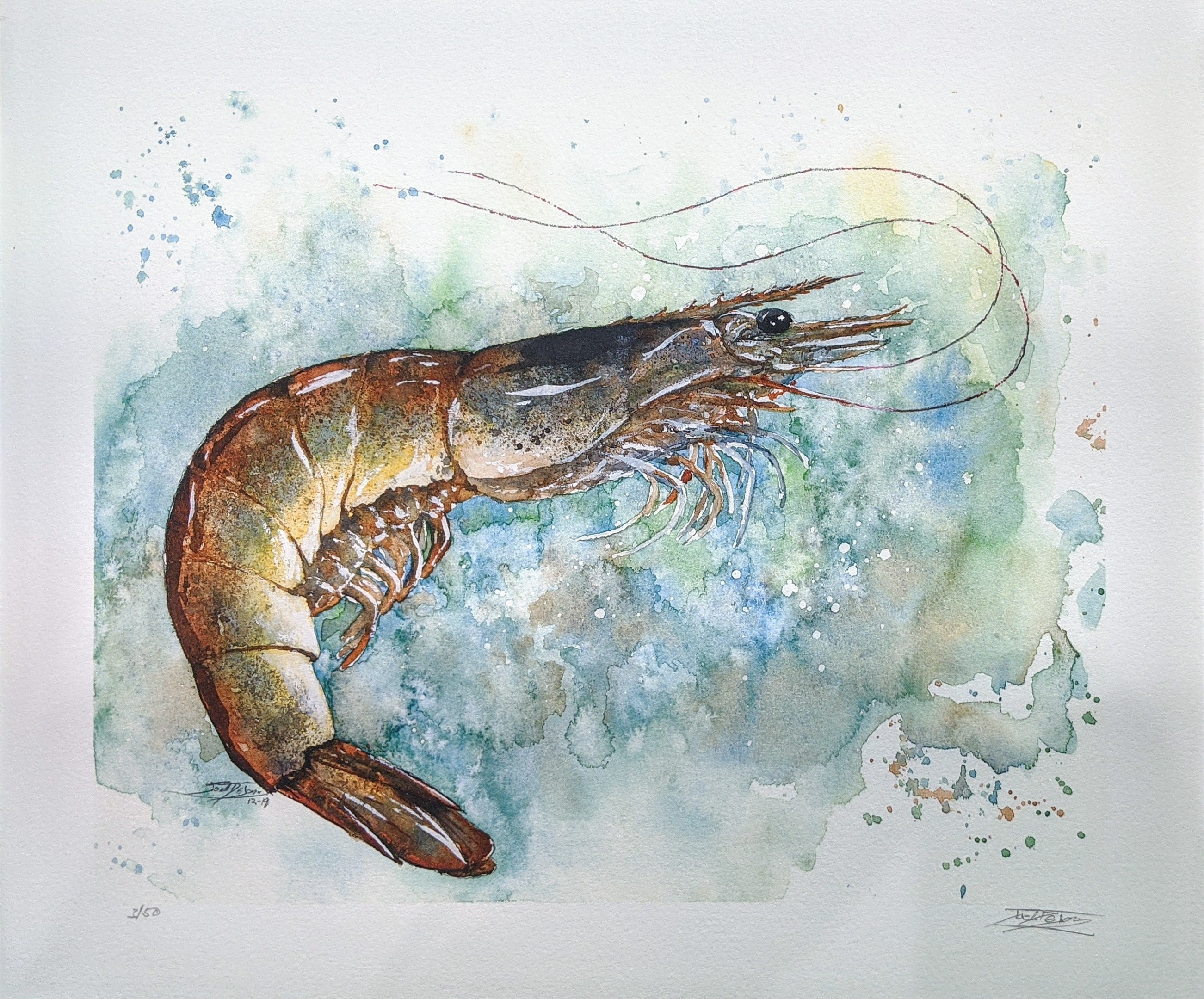 Shrimp Watercolor