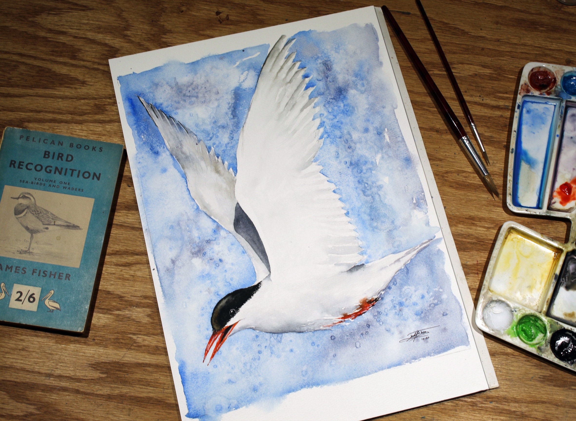 Original Common Tern bird Watercolor art original painting - Etsy Nederland