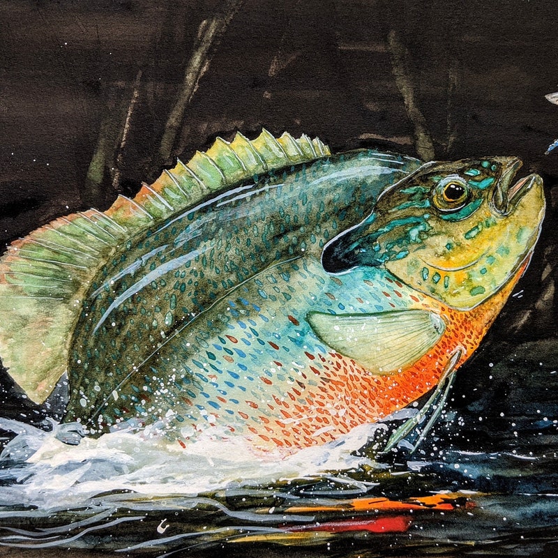 Sunfish Painting - Etsy