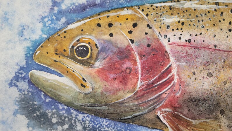 Rainbow Trout (3-25) Original Watercolor, One of a Kind , Fly Fishing ...