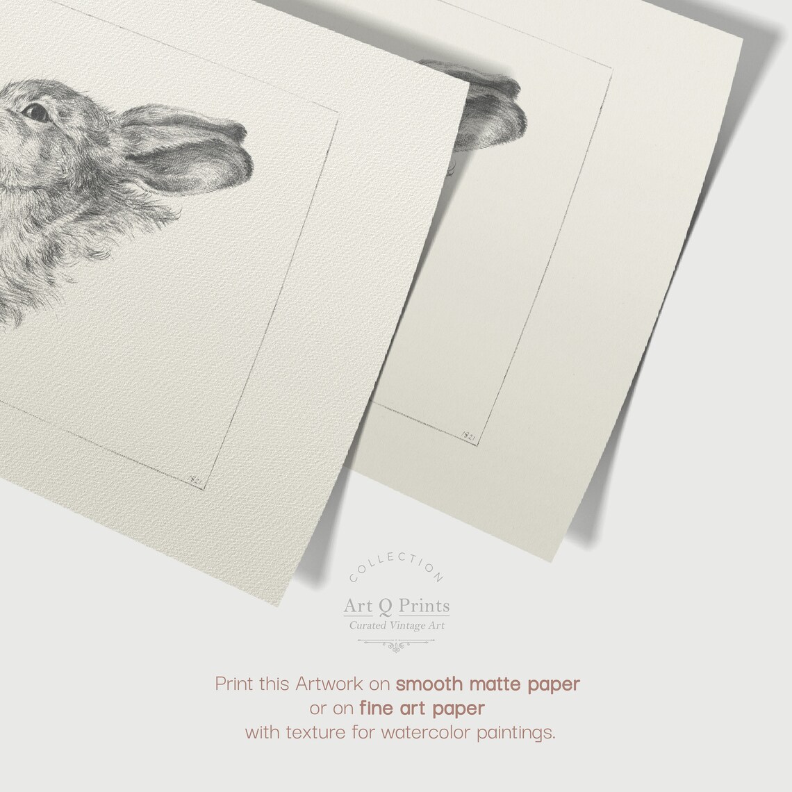 Rabbit Head Print, Wall Art Printable, Vintage Illustration, Pencil ...