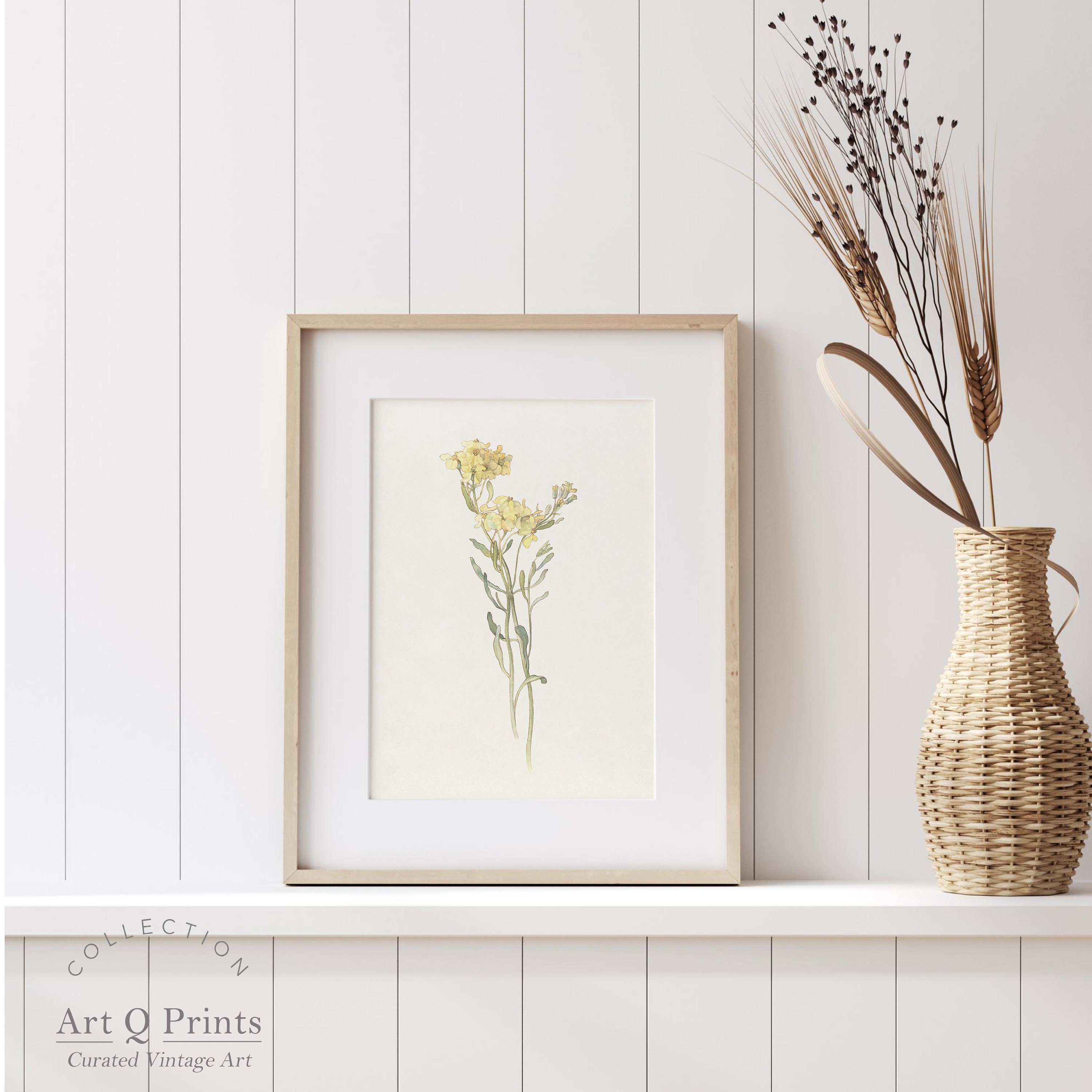 Set of 3 Botanical Prints, Mellow Tones Watercolor Arts, Light ...