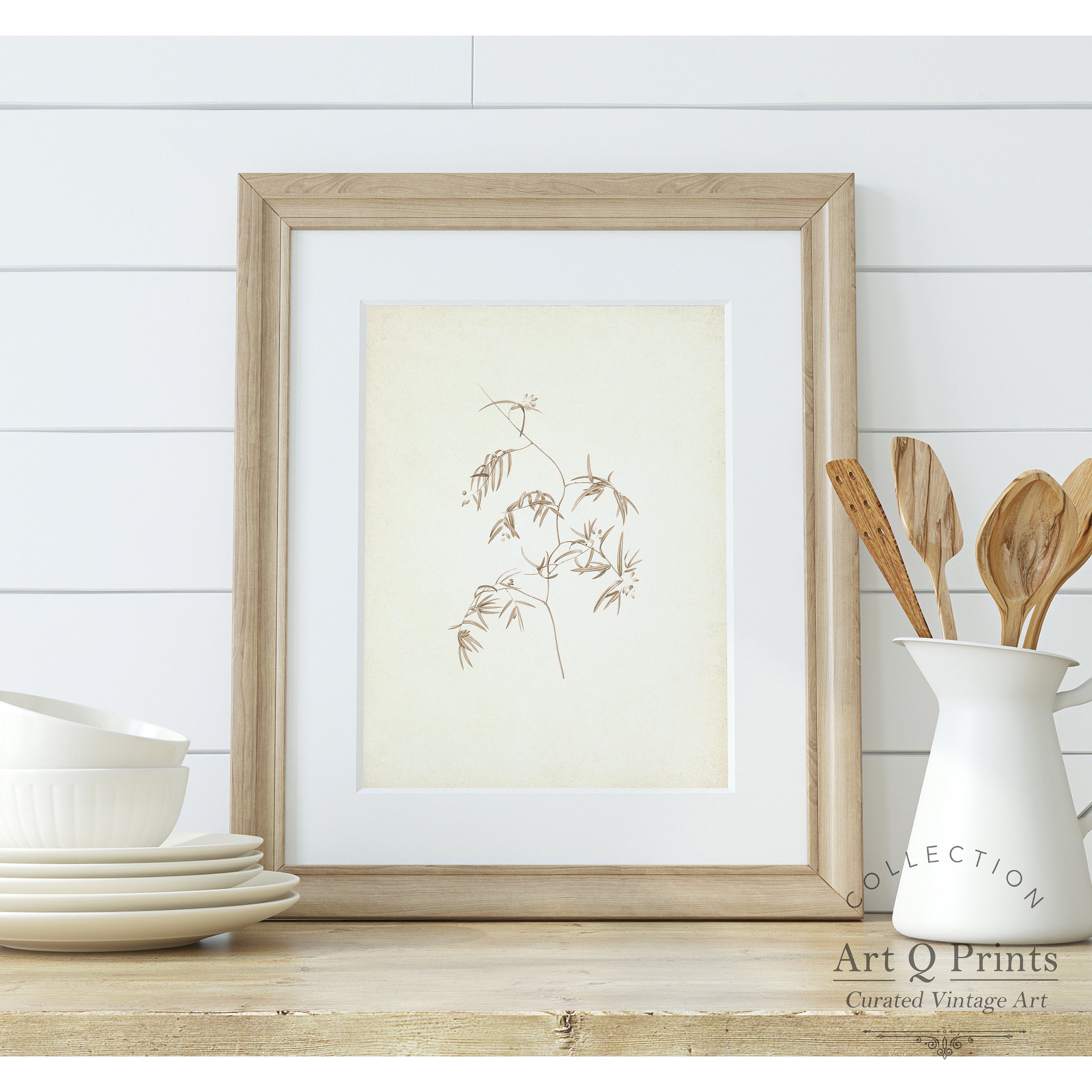 Thuya Articulata Printable, Vintage Wall Art Decor, Old Illustration ...