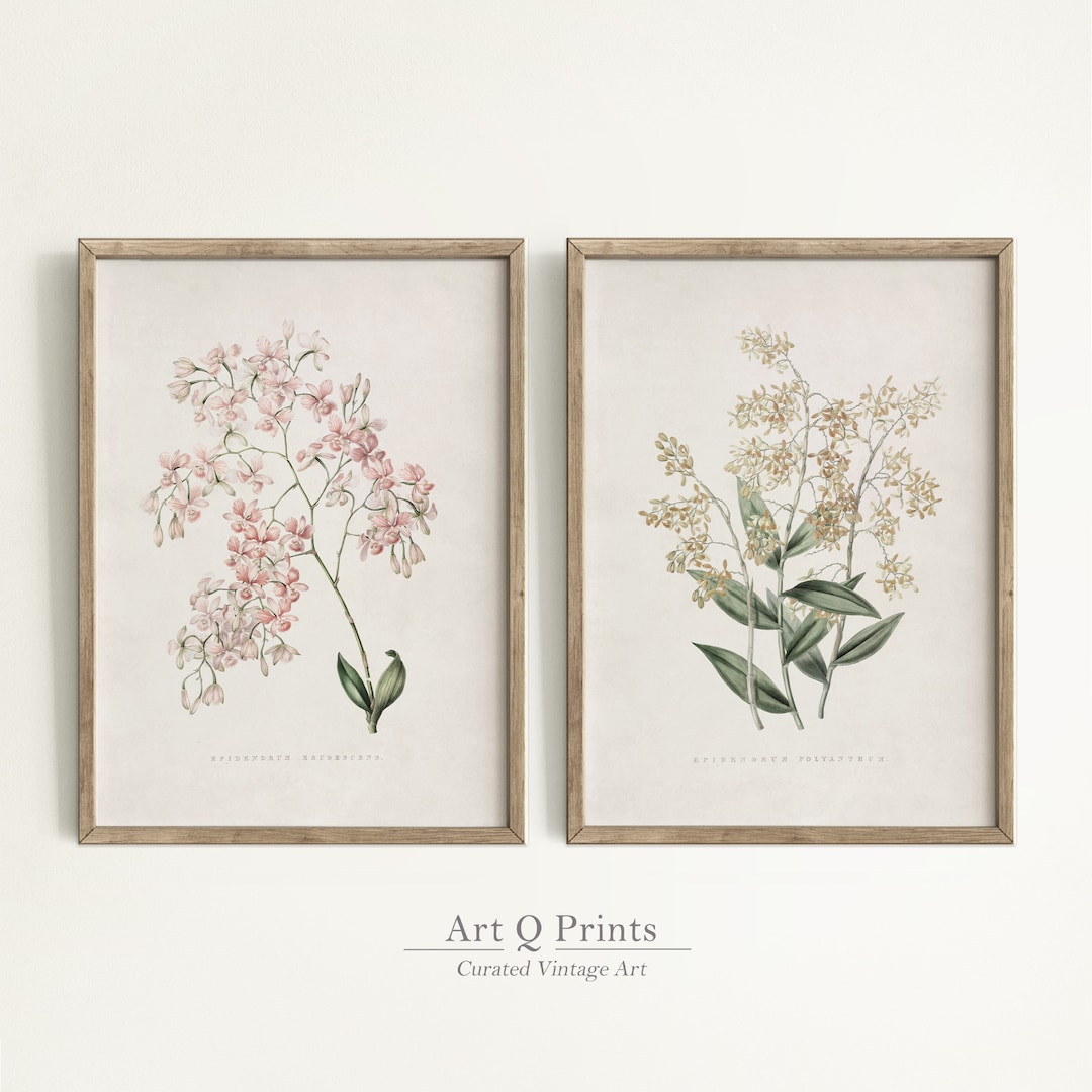 Set of 2 Botanical Prints, Floral Watercolor Paintings, Kitchen Vintage ...