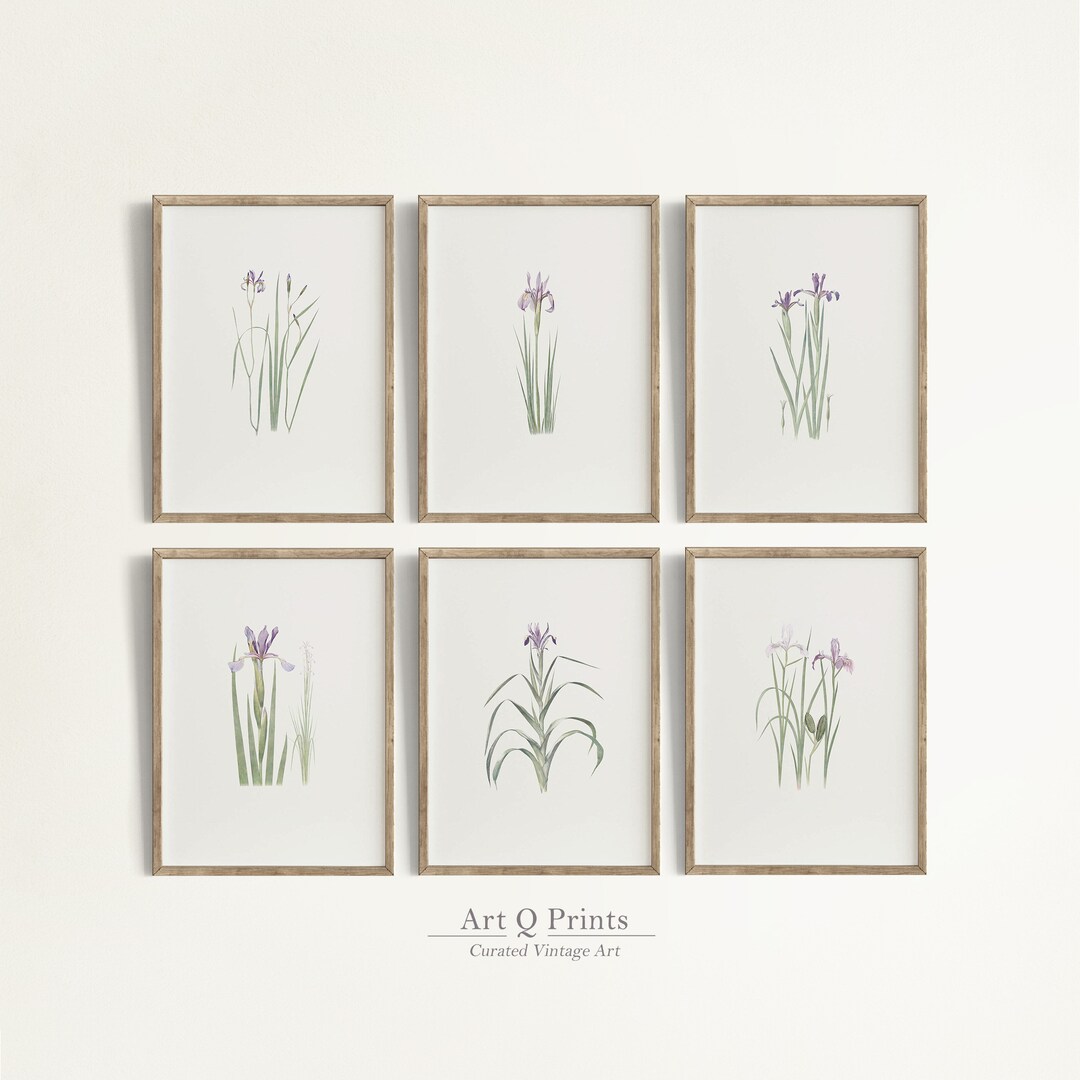 Set of 6 Botanical Prints Irises Watercolor Paintings Light - Etsy