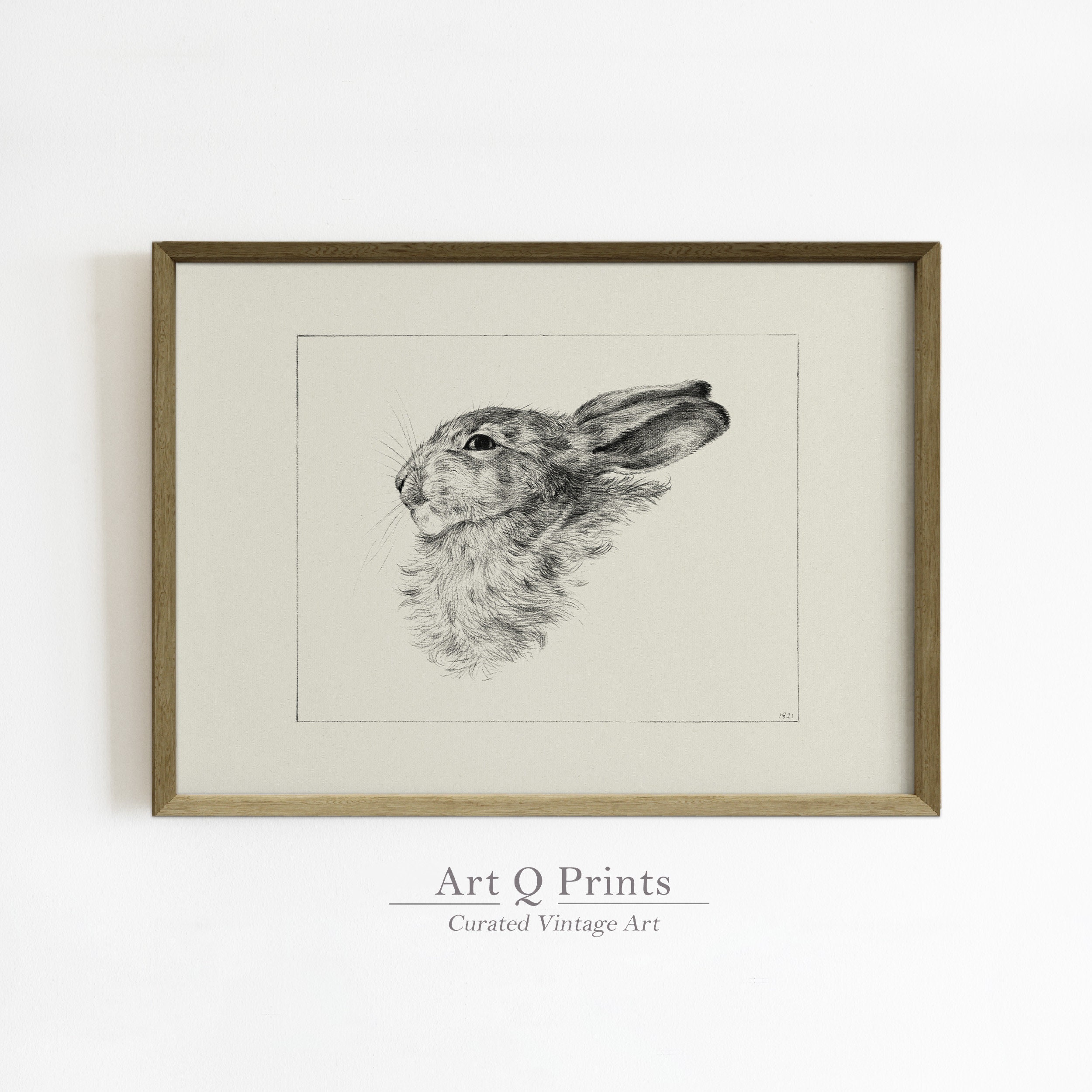 Rabbit Head Print, Wall Art Printable, Vintage Illustration, Pencil ...