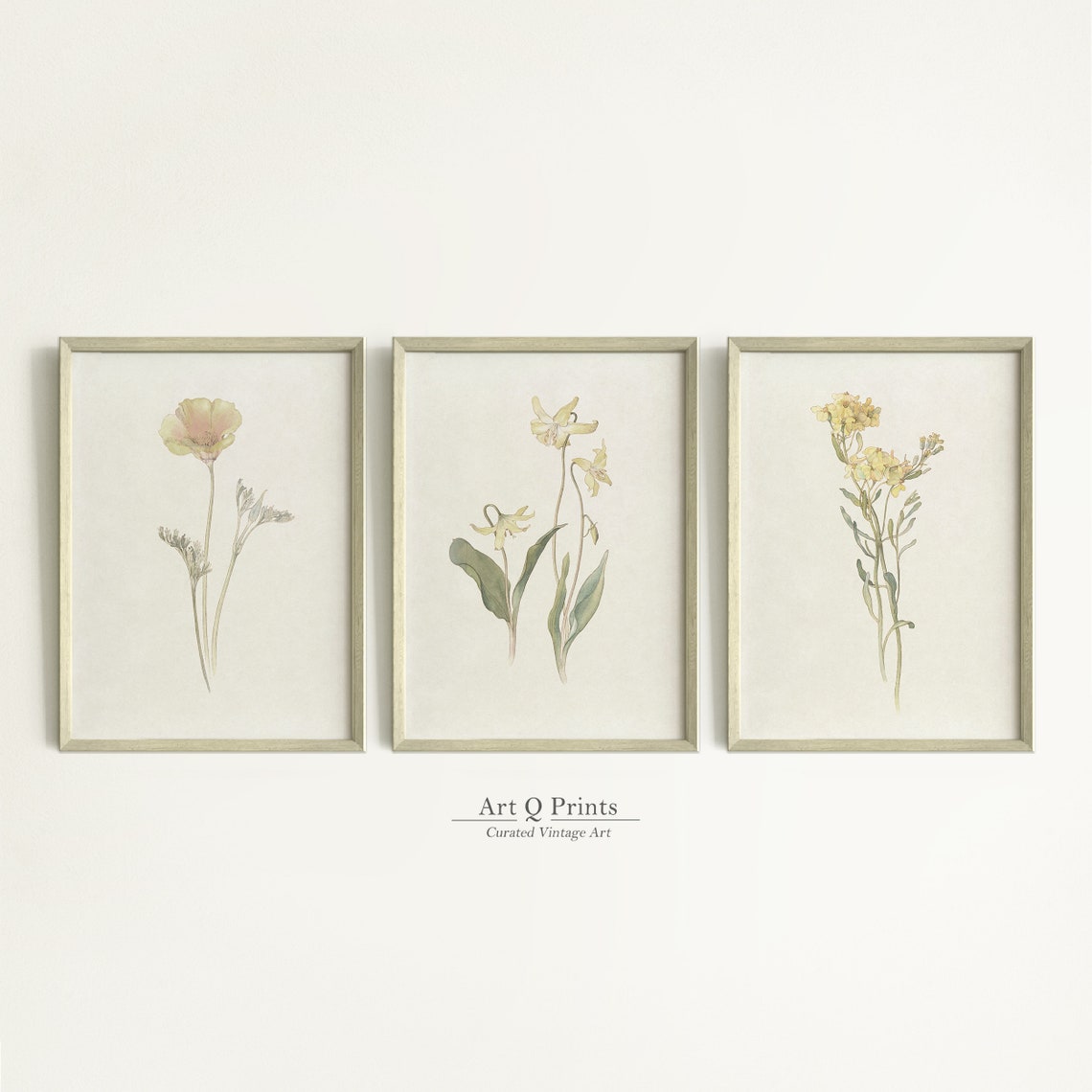 Set of 3 Botanical Prints, Mellow Tones Watercolor Arts, Light ...