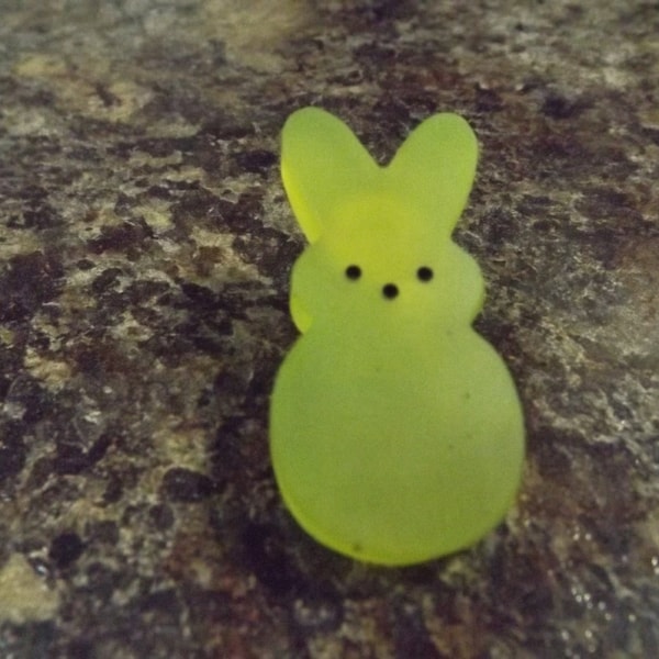 Glow in the Dark Bunny - Etsy