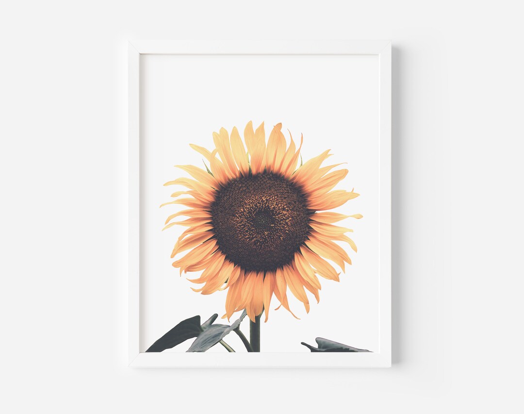 Sunflower Printable Wall Art • Sunflower Decor • Sunflower Wall Decor ...