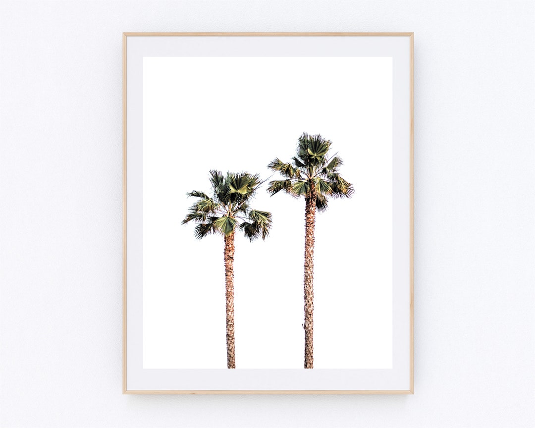 Palm Tree Print Palm Trees Wall Decor Palm Trees Wall Art - Etsy