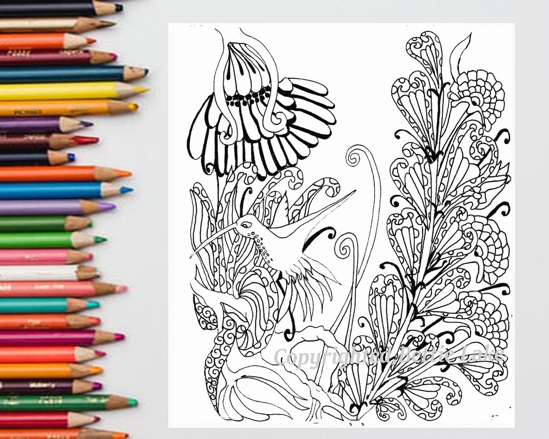 Hoja para colorear colibrí digital adultos adolescentes - Etsy México