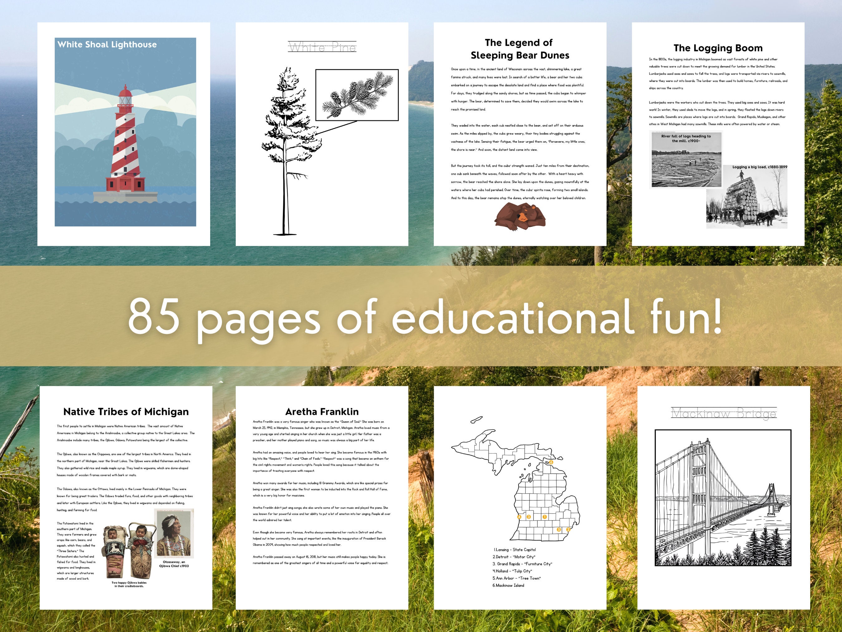 Michigan State Study Unit: Printable Homeschool Guide (85-page) - Etsy