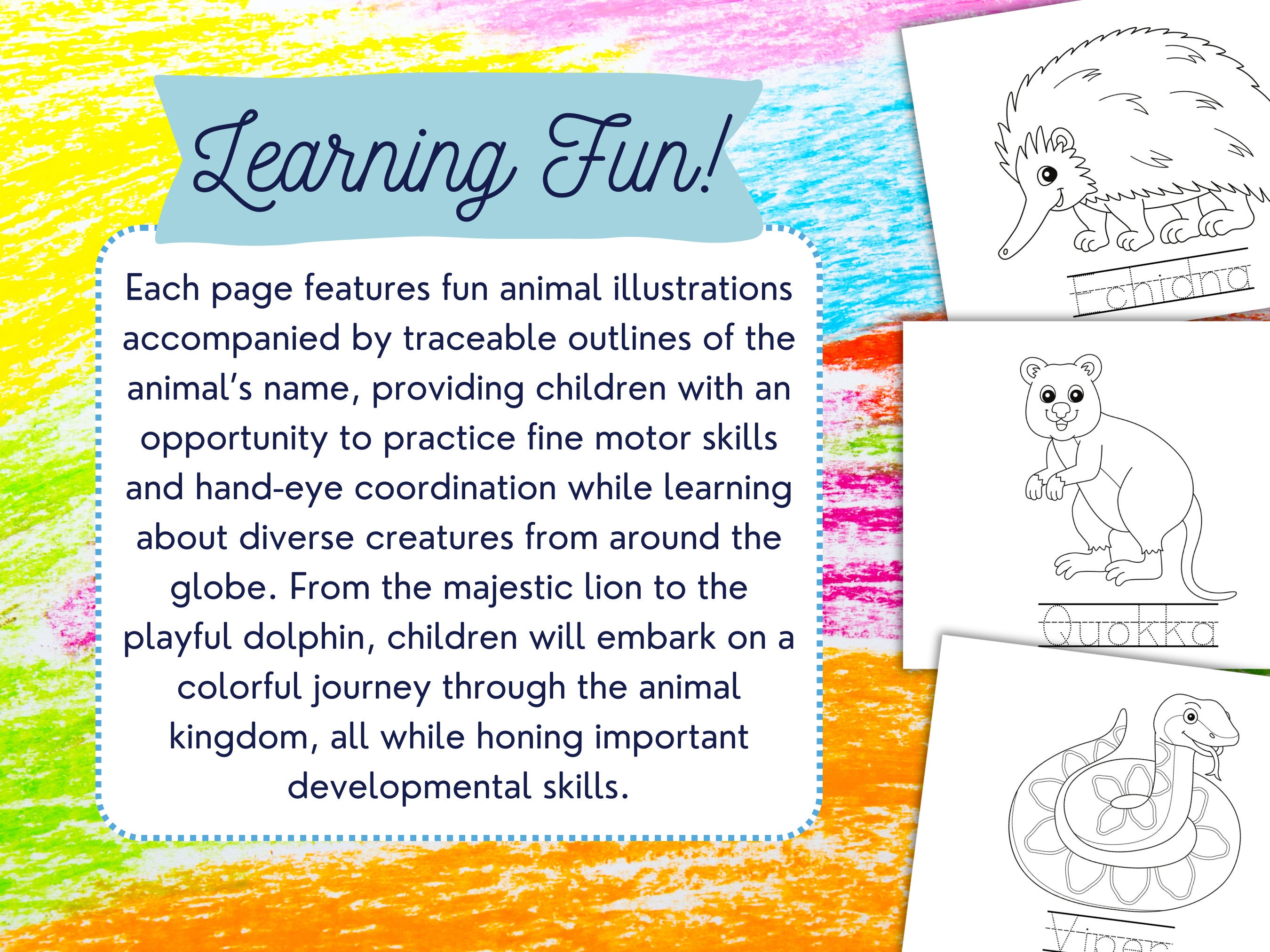 World Creatures | 110-page Trace and Color Animal Coloring Book for ...