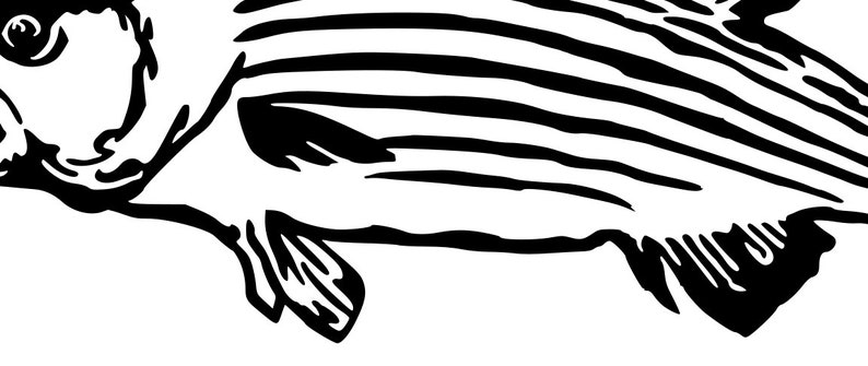 Striped Bass SVG Striped Bass Clip Art Halloween Striped - Etsy