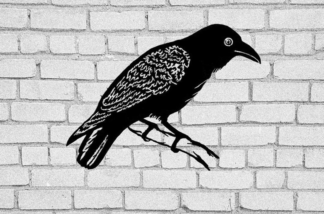 Crow SVG | Crow Clip Art | Crow | Crow Download | Corvus Brachyrhynchos ...
