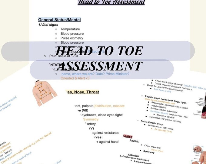 Nursing Head to Toe Assessment overview - Etsy