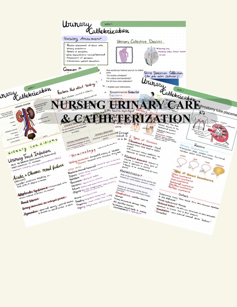 NURSING NOTES- Urinary Care & Catheterization - Etsy