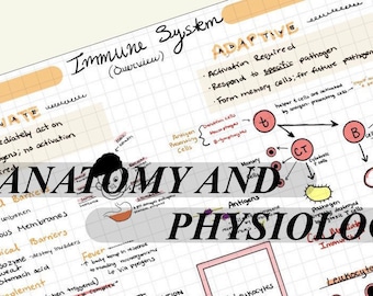 Immune System Nursing Notes/ Concept Map (Download Now) - Etsy