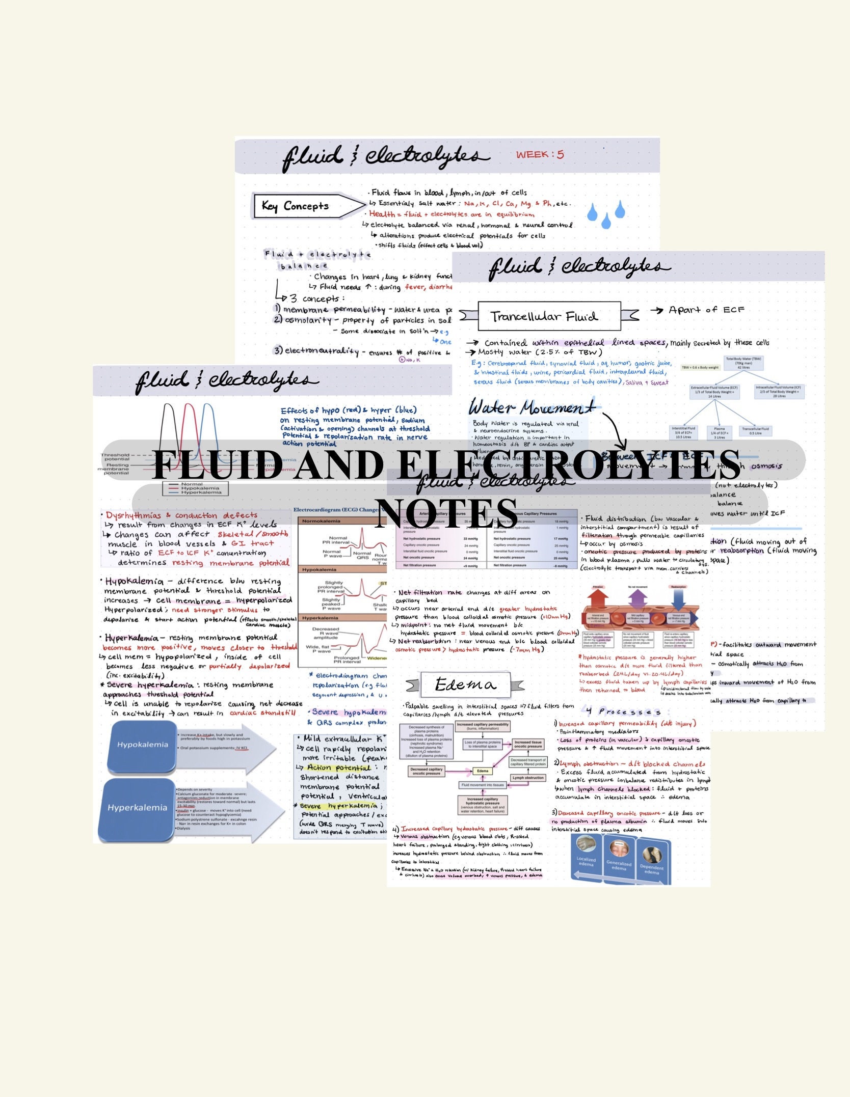 Electrolyte Notes