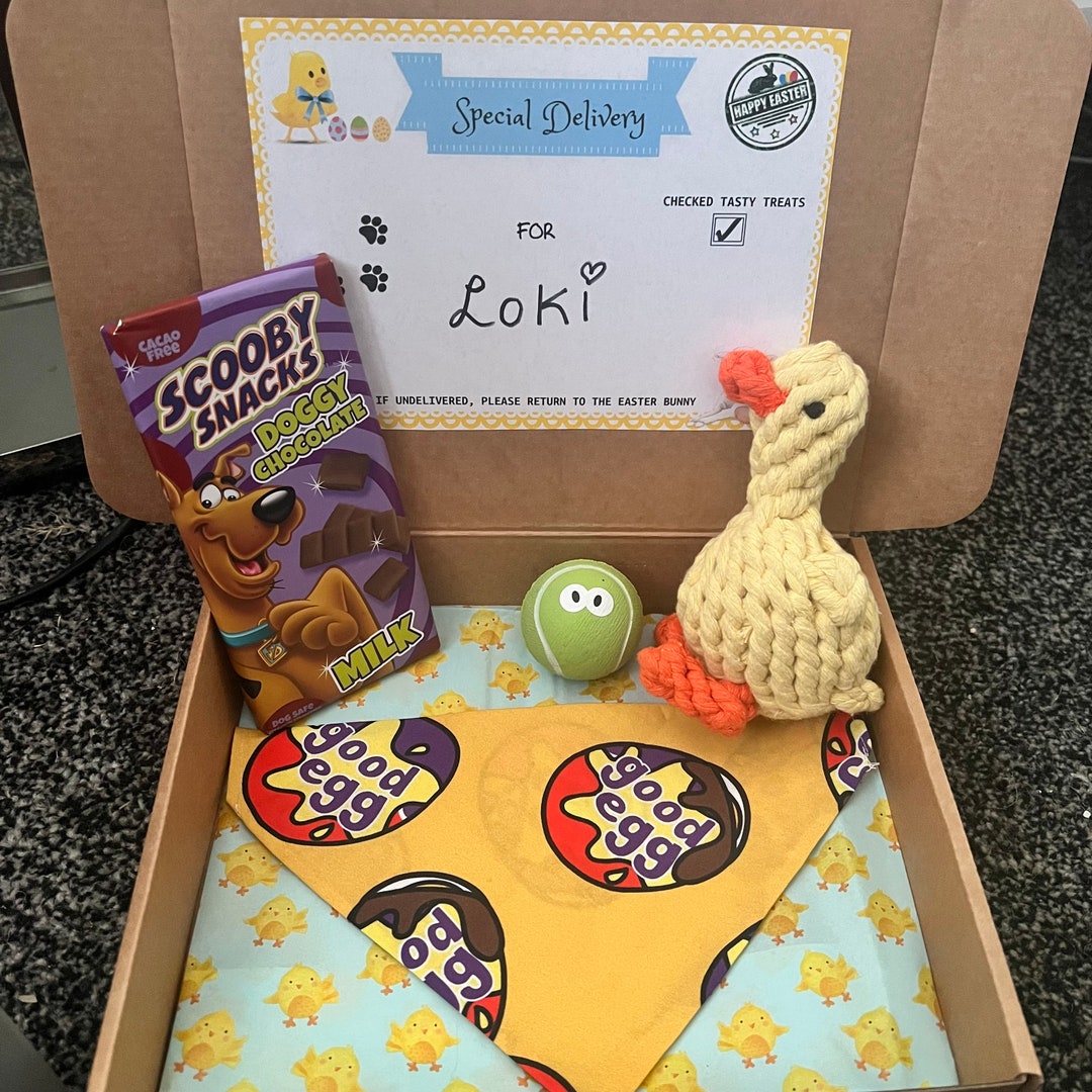 Personalised Easter Dog Treat Box Puppy Hamper Treat Box - Etsy