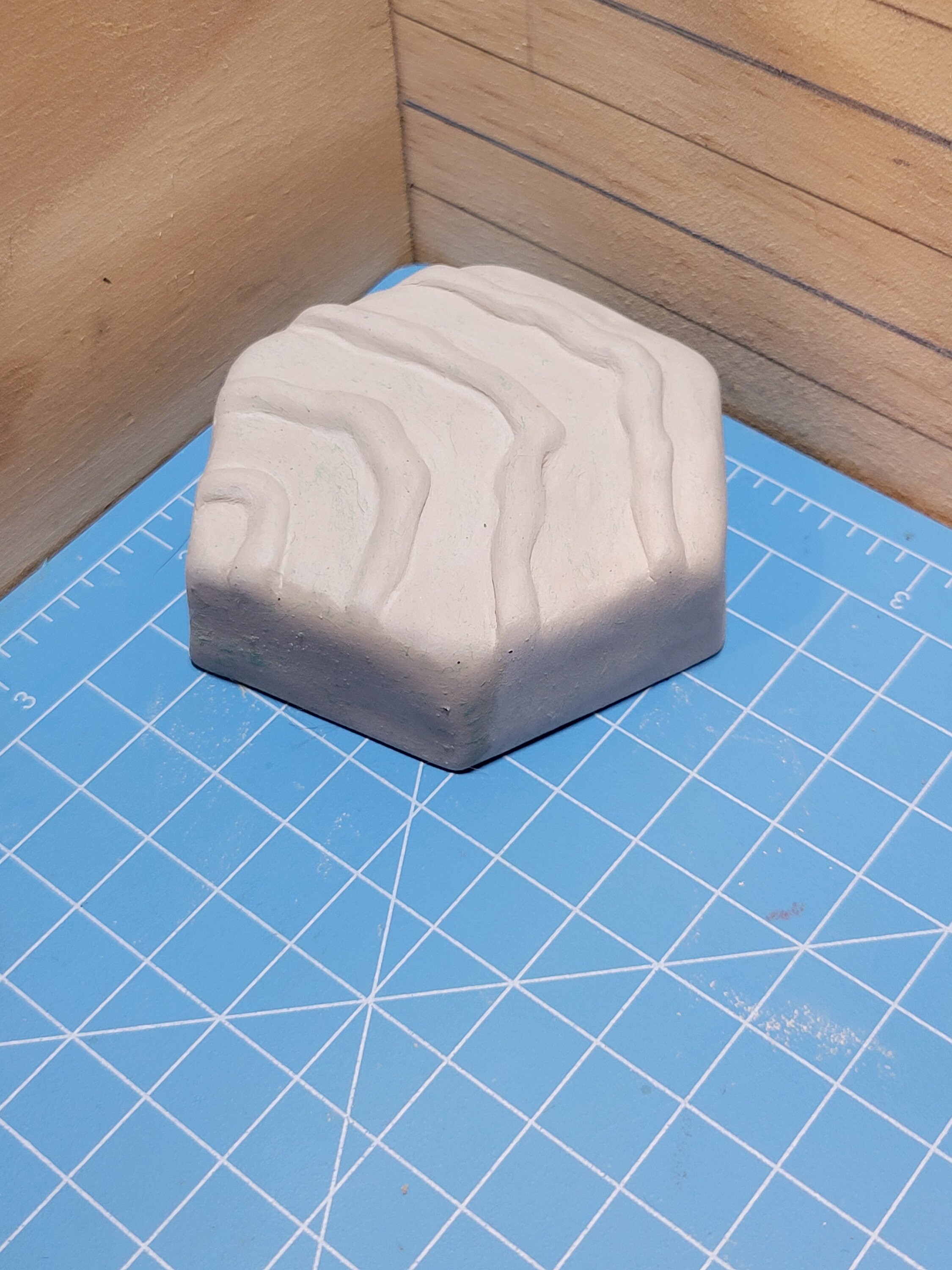 Life Size Zebra Cake Plastic Mold Chocolate Bathbomb Soap - Etsy