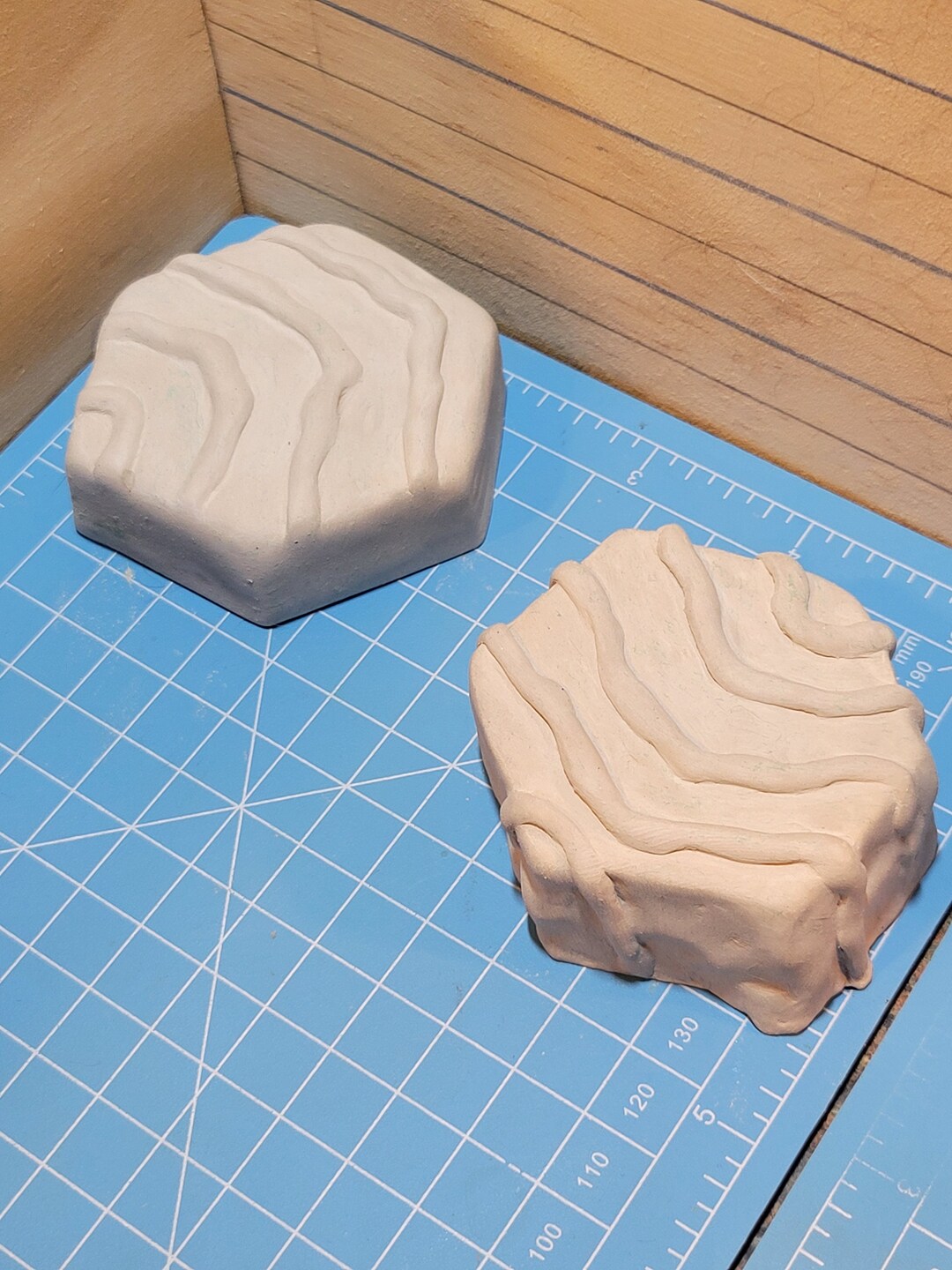 Life Size Zebra Cake Plastic Mold Chocolate Bathbomb Soap - Etsy