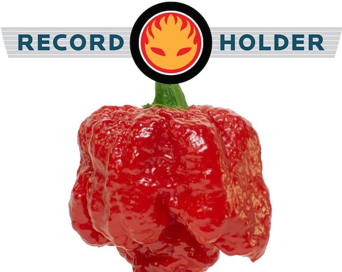 Carolina Reaper Seeds, Record Breaking, One of the Hottest in the World ...