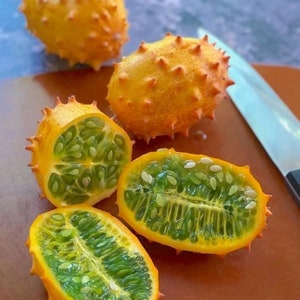 Spiky Melon Seeds, Best Gift for Him Her Mom Dad Teacher Home Decor ...