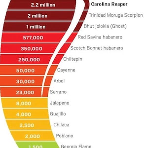 Carolina Reaper Pepper Seeds: Hottest Pepper in the World, Spicy, HOT ...