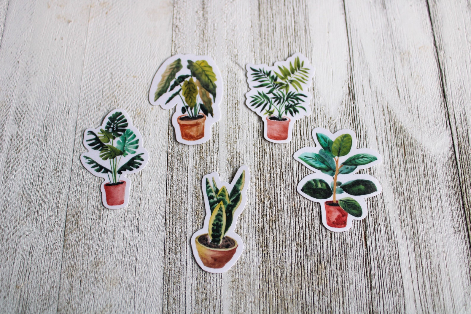 House Plant Sticker Bundle Weatherproof Sticker Bundle - Etsy
