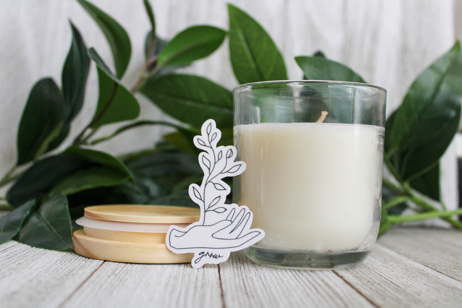 Cute Growth Sticker Plant Lover Gifts Vegan Gift - Etsy