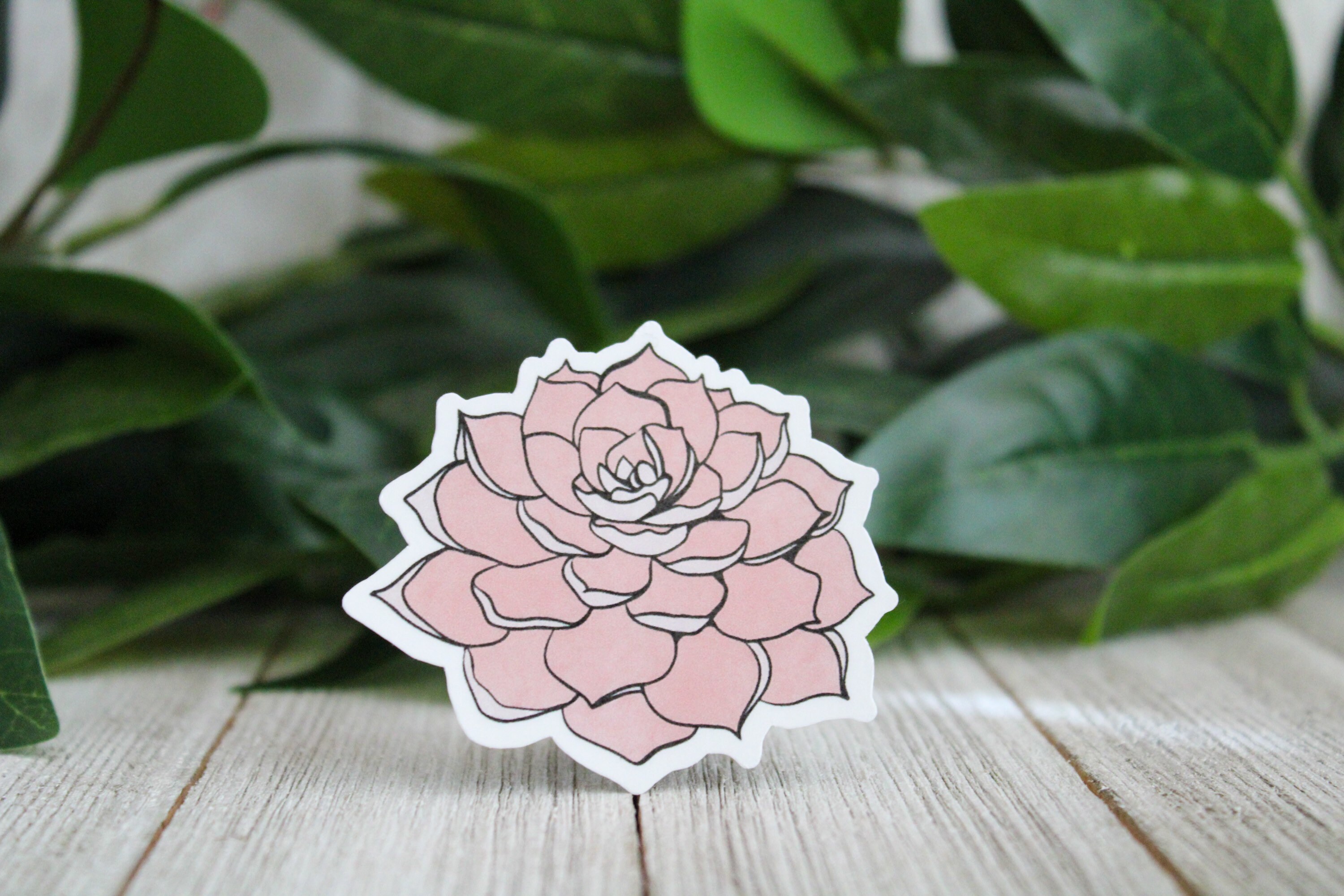 Mauve Pink Succulent Sticker Weatherproof Sticker Nature | Etsy