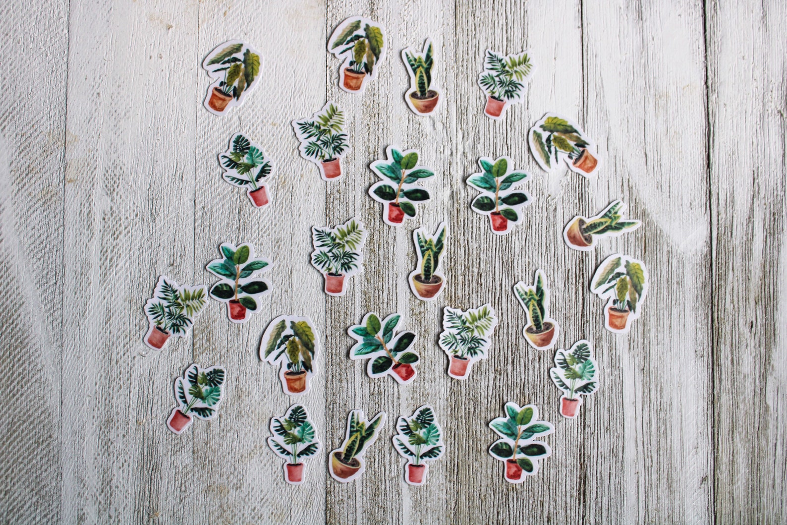 House Plant Sticker Bundle Weatherproof Sticker Bundle | Etsy