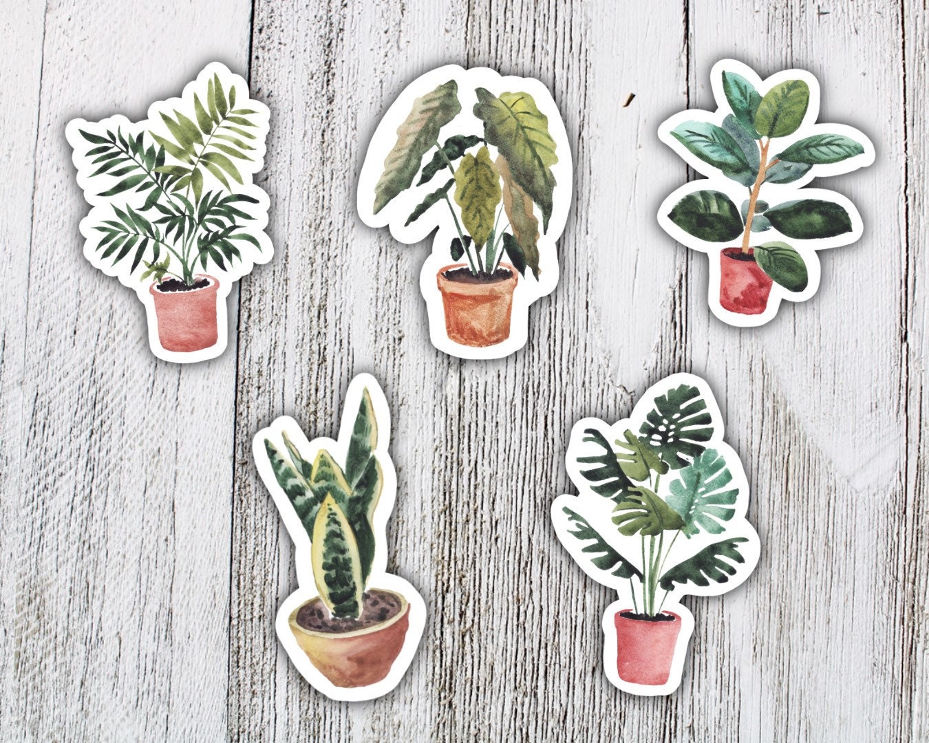 House Plant Sticker Bundle Weatherproof Sticker Bundle - Etsy