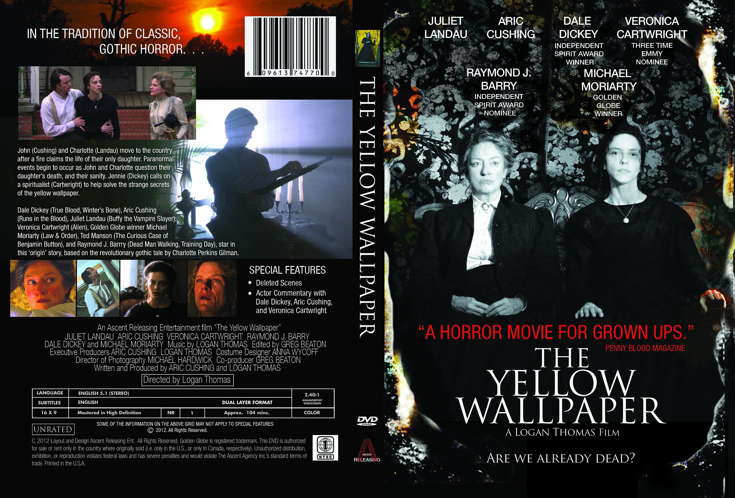 The Yellow Wallpaper DVD - Etsy