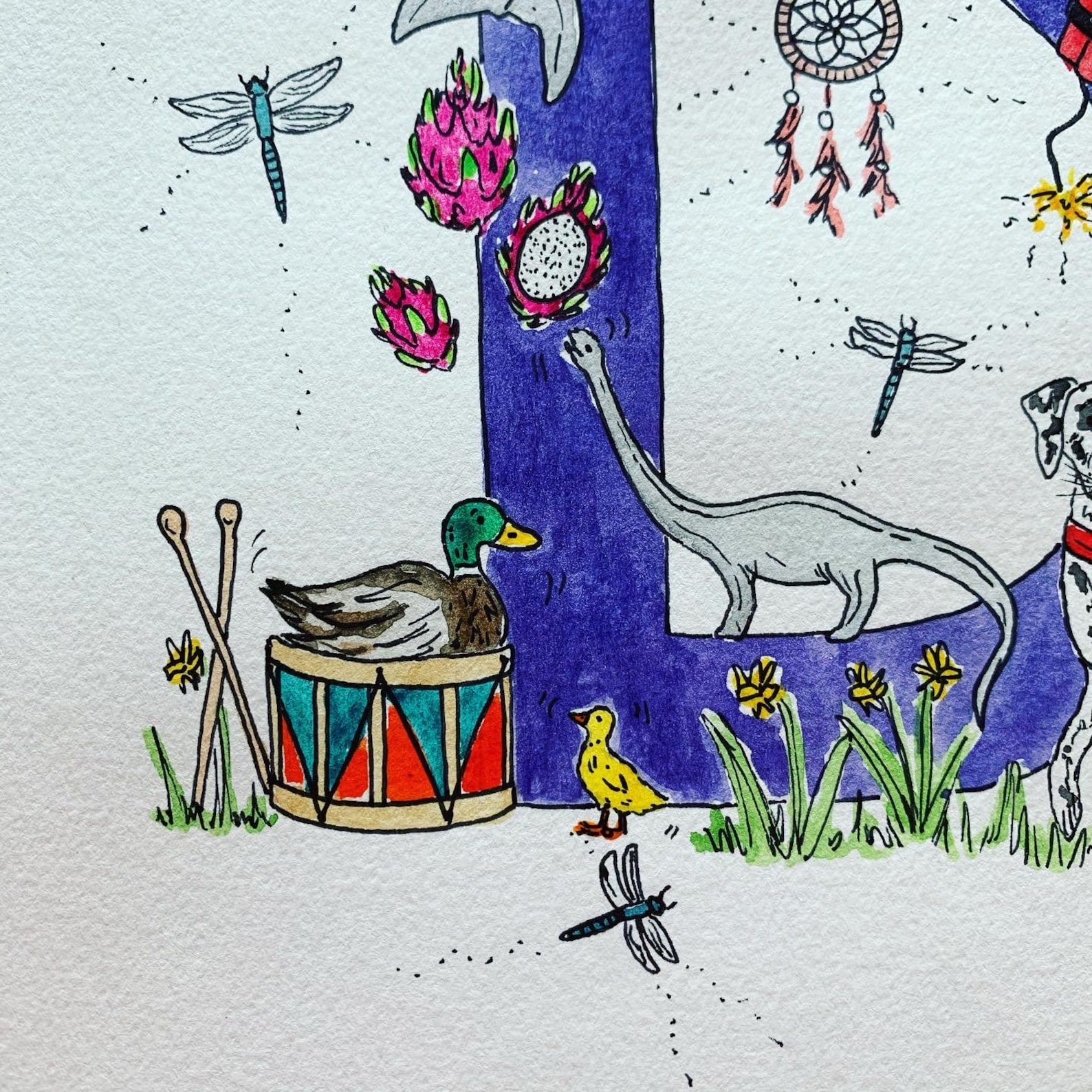 Illustrated Watercolour Alphabet Print Letter D - Etsy